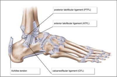 Calcaneofibular Ligament: Injury and Ankle Instability - Dr. Justin Dean
