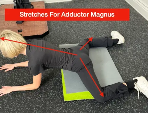 Iliac Crest Pain: Relieve Iliac Crest Pain 2024!